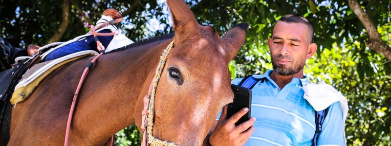 MinTIC anuncia internet y minutos gratis, conozca cómo acceder al beneficio